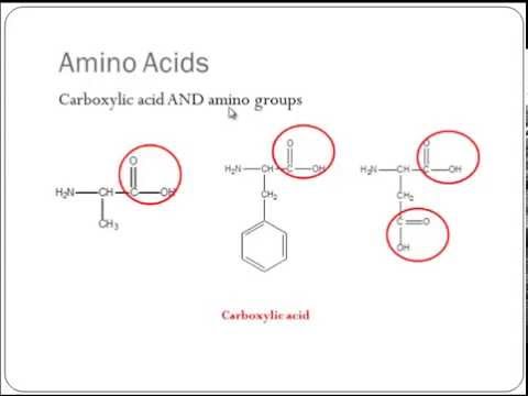 Recognizing Functional Groups in Biomolecules
