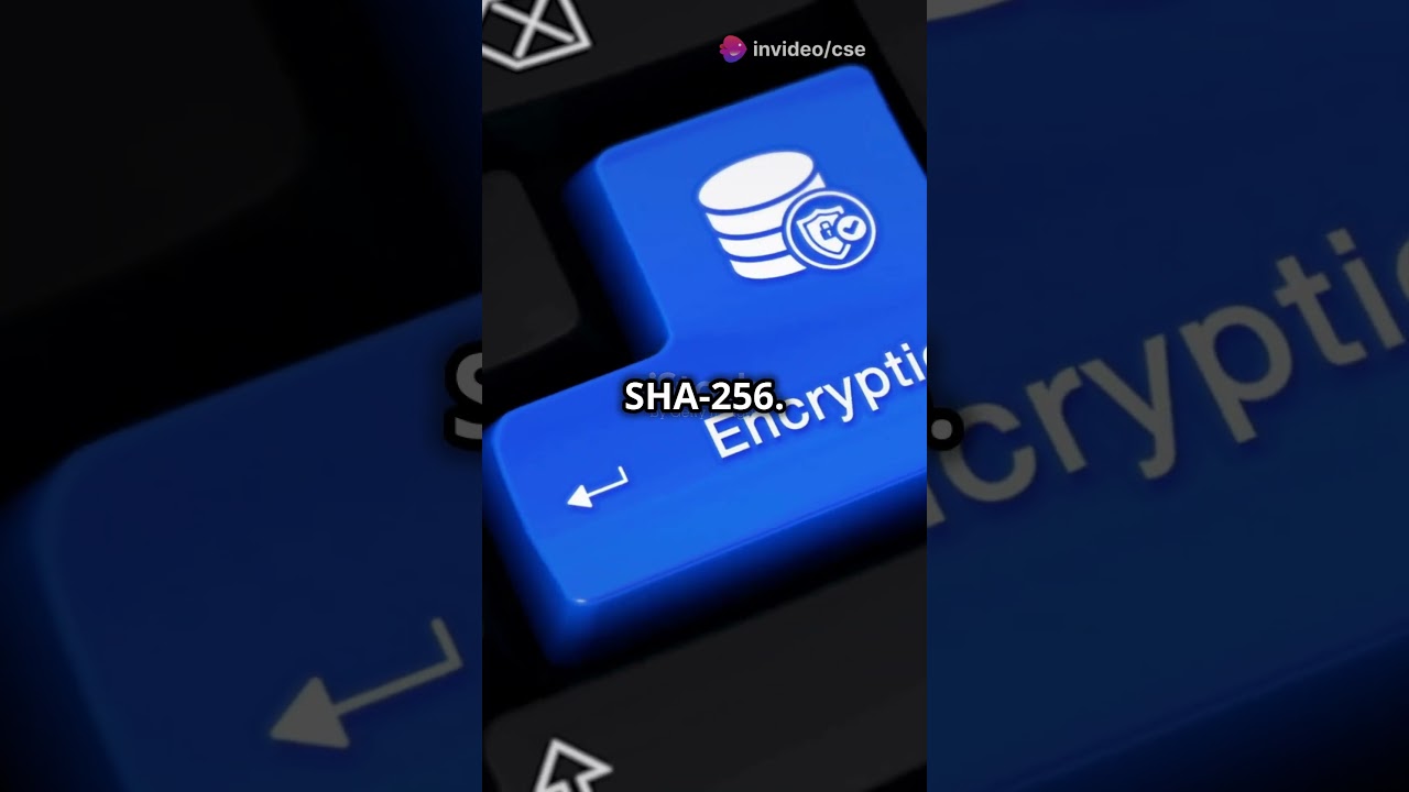 Hashing vs Encryption – What's the Difference?