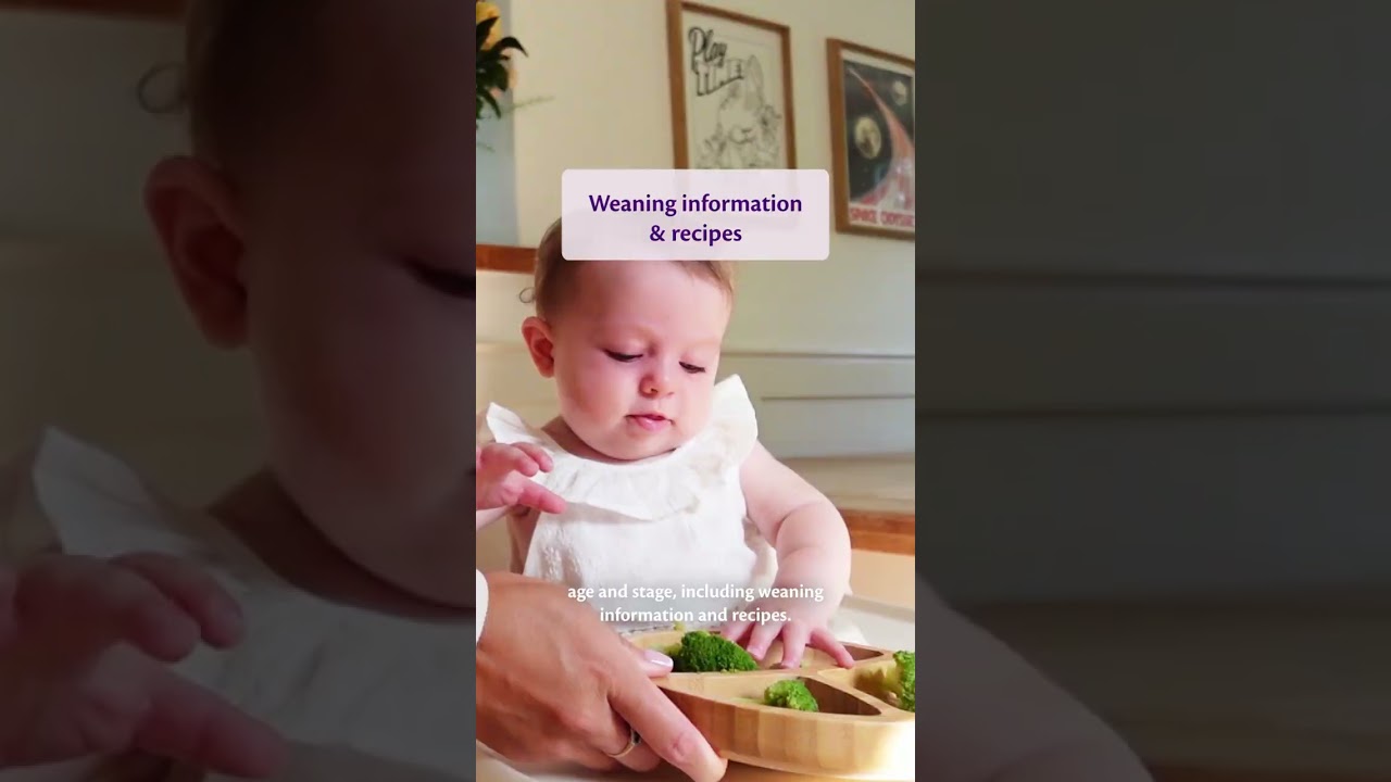 HiPP BabyClub: tips, offers & recipes