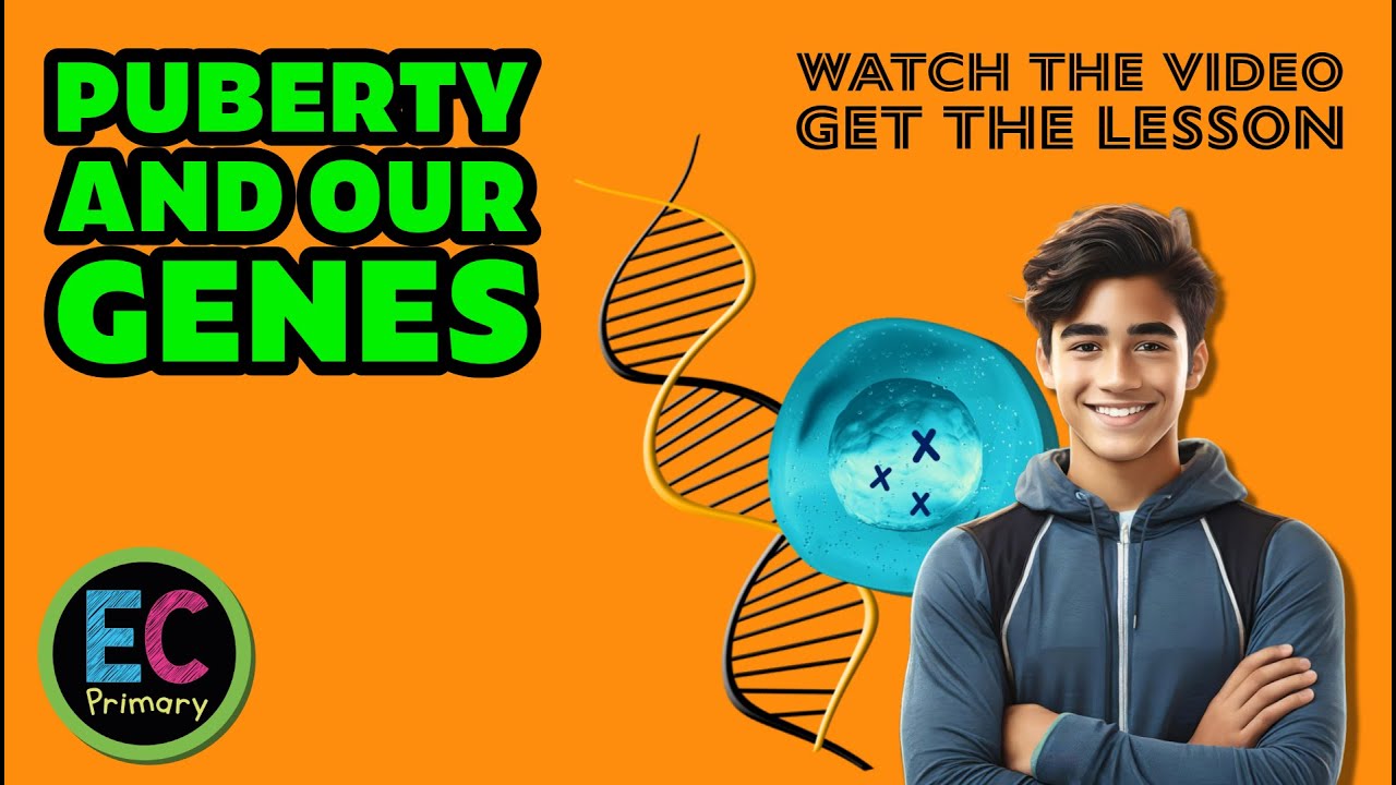 PUBERTY...How And Why Do Our Bodies Change? UKS2 | EC PSHE