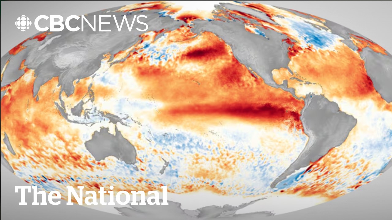 A 'super' El Niño could bring more devastating severe weather: meteorologists