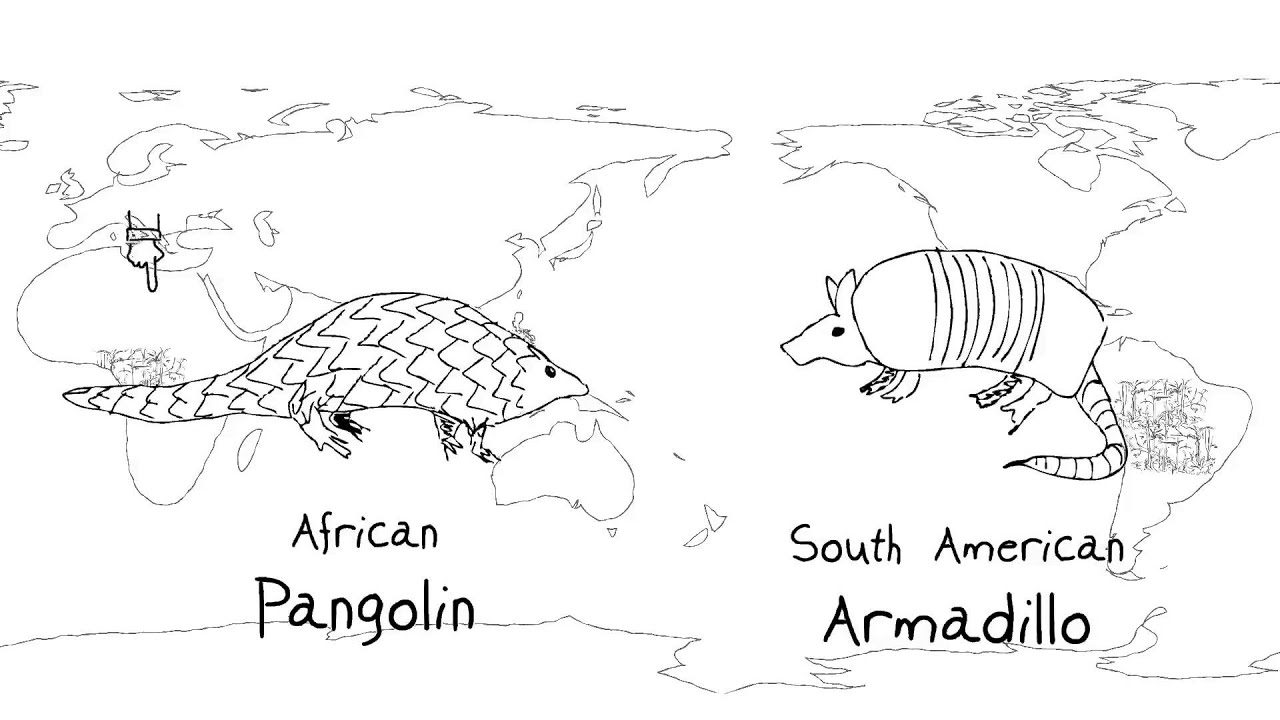 Ecosystem biodiversity