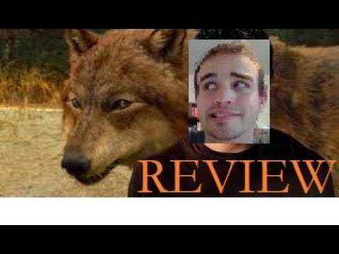Royal Road/Scribble Hub Review: Caninstinct
