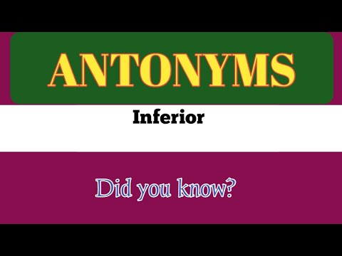 Antonyms words || Inferior.