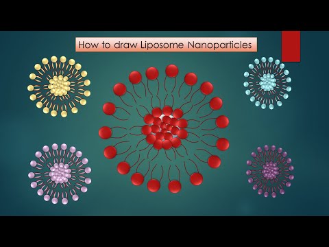 Graphical Abstract Part 11: How to draw Liposome Nanoparticles easily in PowerPoint