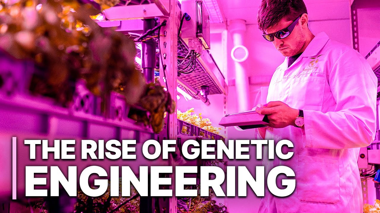 The Future of Genetic Engineering: Transforming Lives and the ...