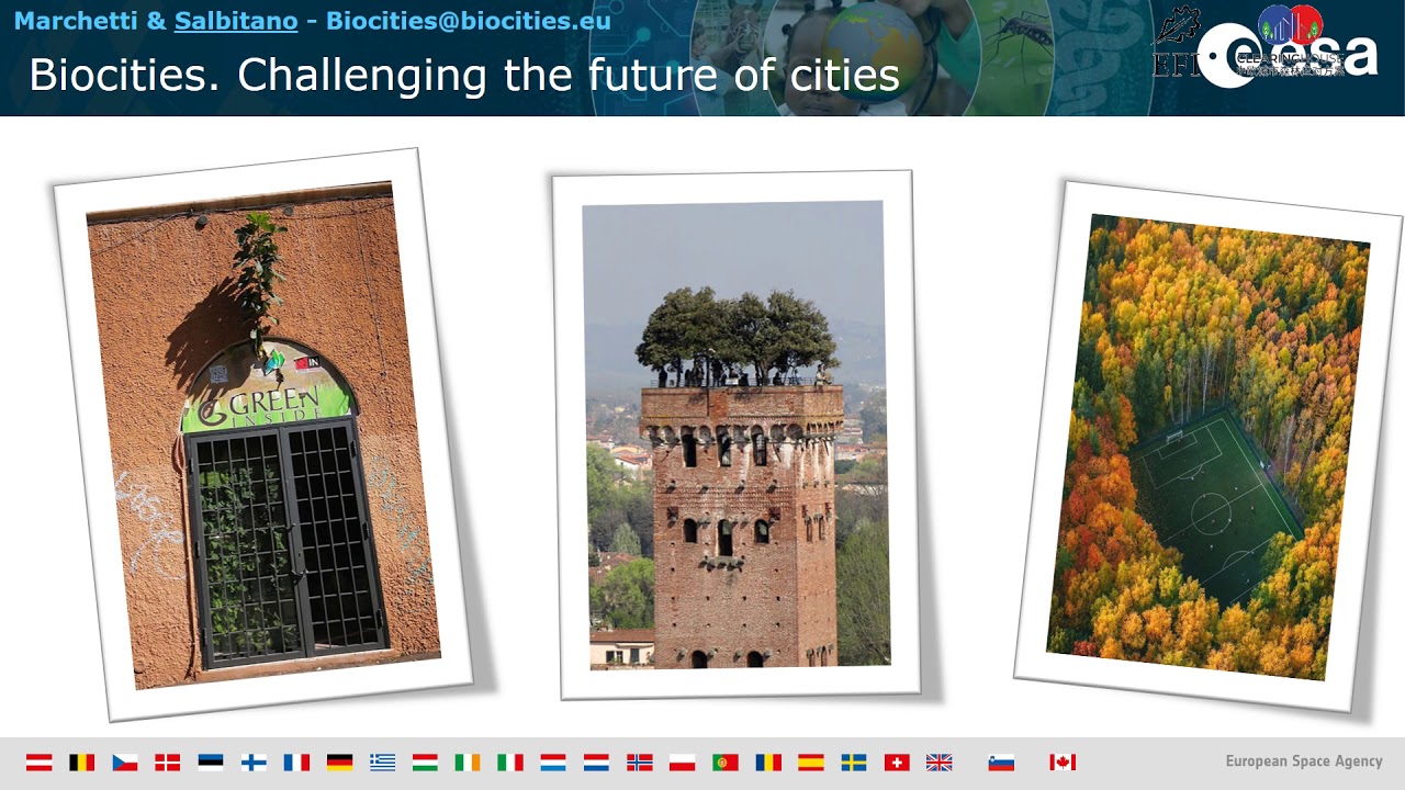 Biocities. Trees and forest for urban resilience