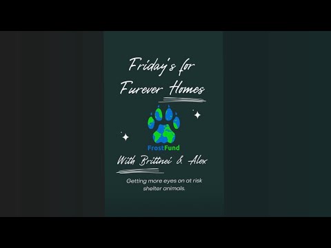 INTRODUCING “Fridays for Furever Homes” – Frost Fund