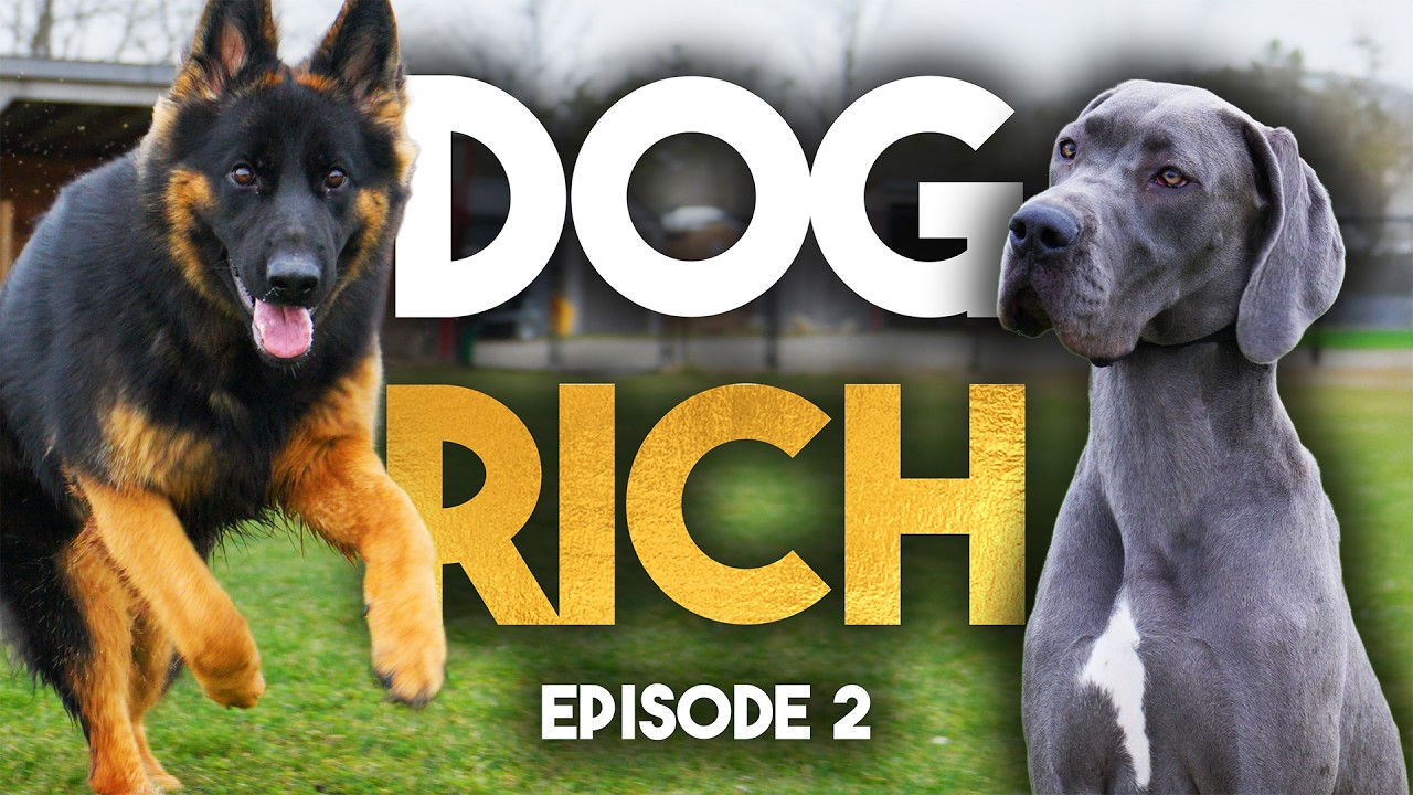 Dog Rich “Puppy Season” - Episode 2