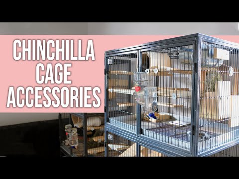 Chinchilla Cage Accessories & Set Up Ideas