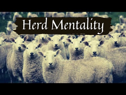 What is Herd Mentality?