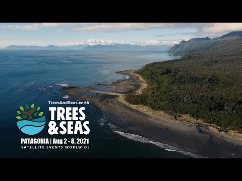 Trees & Seas | Teaser Video #3