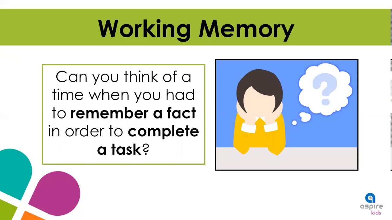 Executive Function Working Memory Video 3