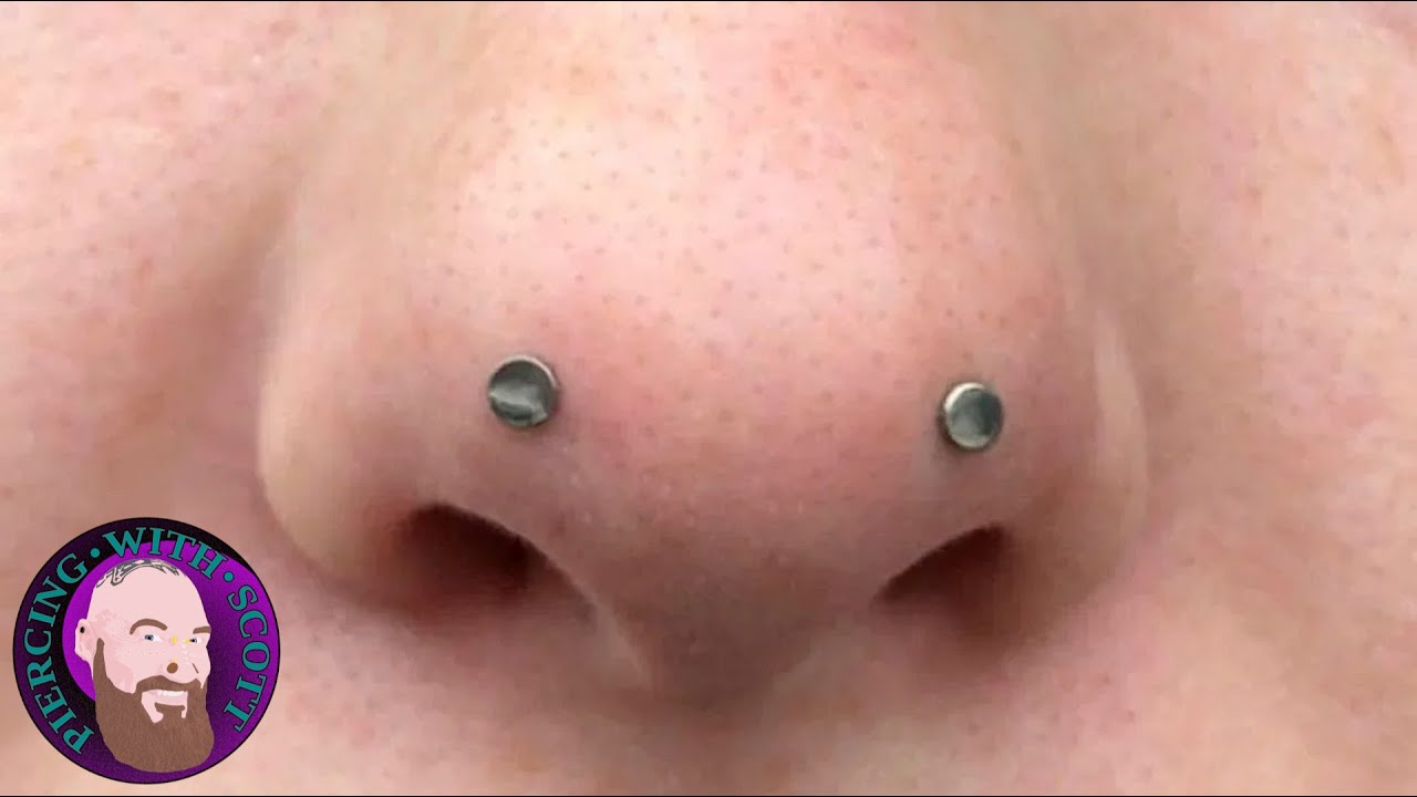 The Whole Truth - Mantis Piercing