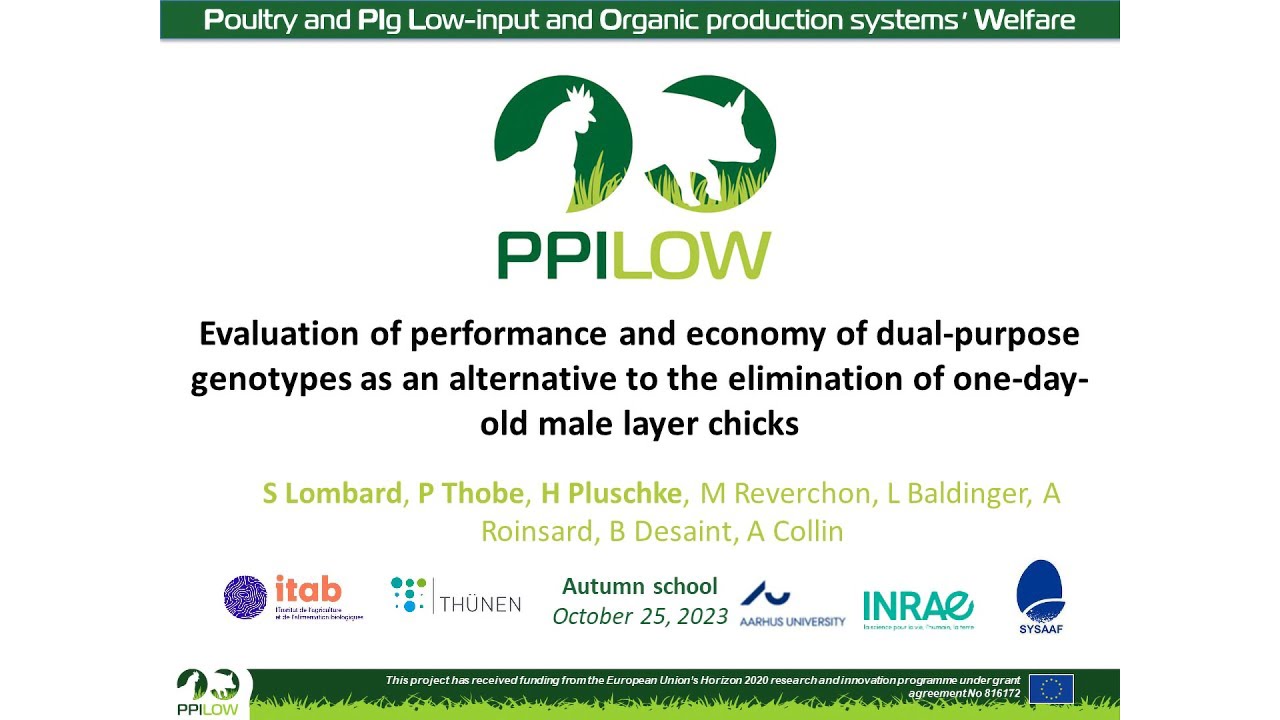 Evaluation performance dual purpose genotypes - S. Lombard (ITAB) P. Thobe, H. Pluschke (Thuenen)