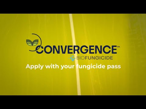 Convergence™ in Action: How Our Breakthrough Fungicide Fights Corn Tar Spot