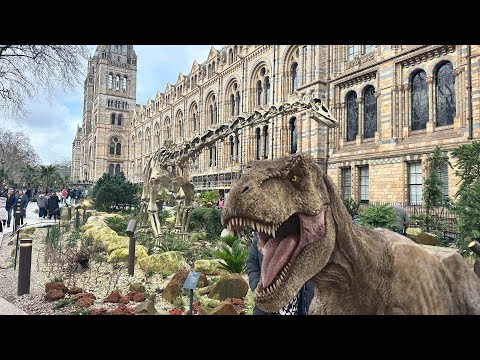 Our visit to The Natural History Museum | to See Dinosaurs and more