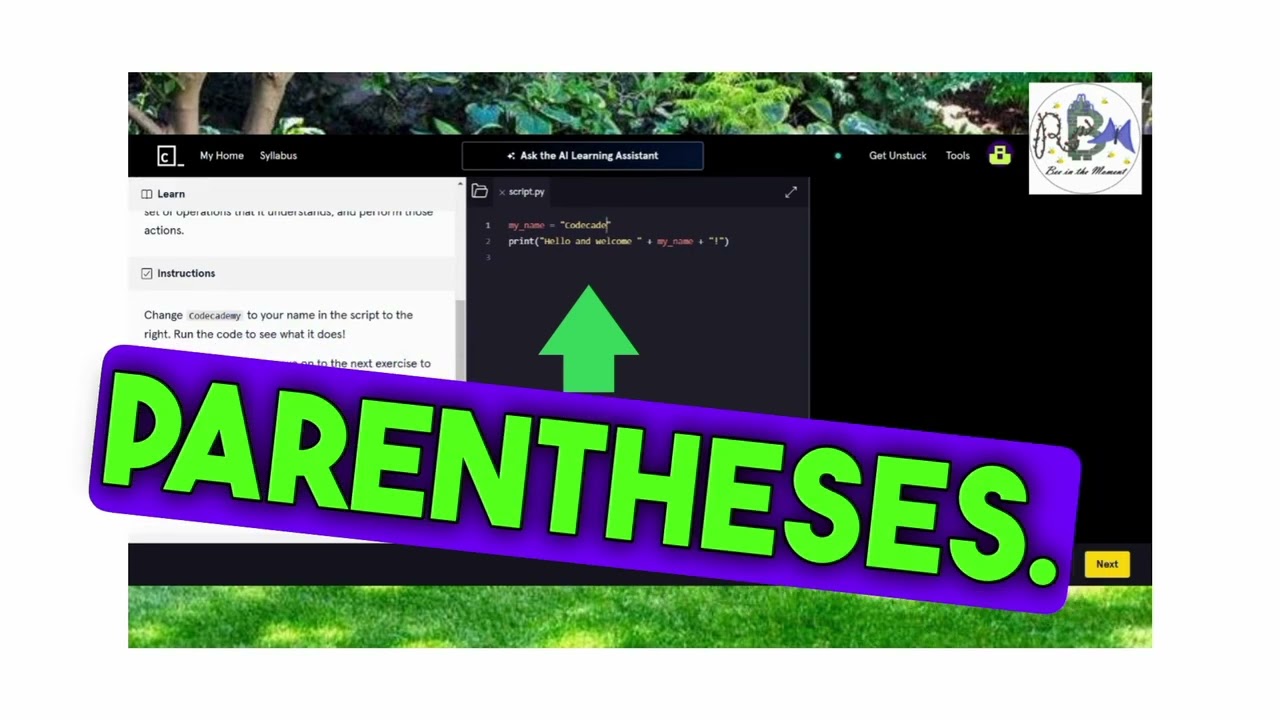 Navigating the Python Coding Workspace in @codecademy