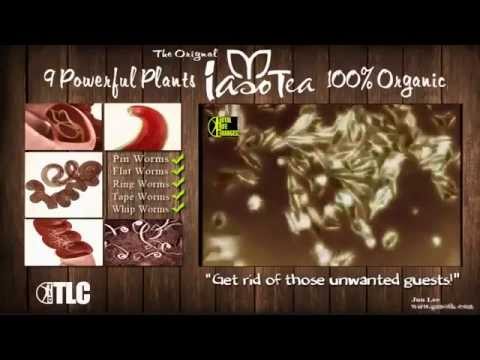 iaso Tea Ingredients | Total Life Changes