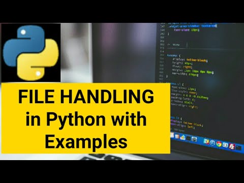 Python File IO Basics | How to read write append in Python File Handling Tutorial Absolute Beginners