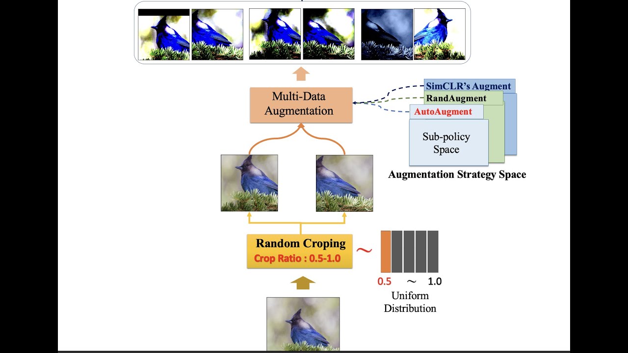 Multi-Augmentation Self-Supervised Visual Representation Learning