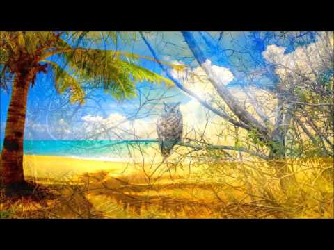 Link's Awakening "Wise Old Owl" Orchestral Arrangement
