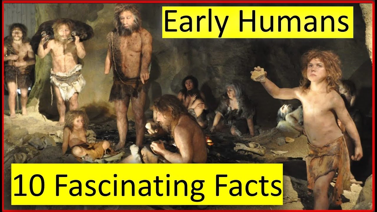 Amazing Facts of Early Humans & Neanderthals - never taught in school