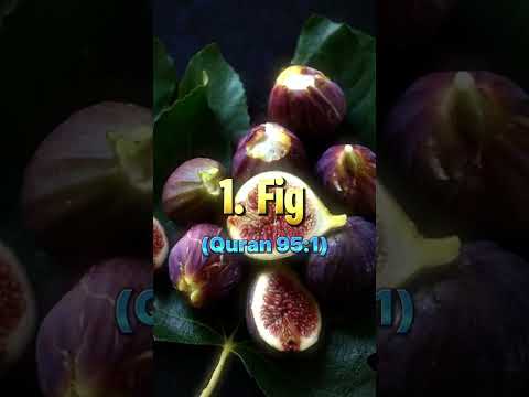 6 Plants Mentioned in the Holy Quran βͺοΈπ Comments Astaghfirullah. πβ€οΈ #islamic #plants #islamicvideo