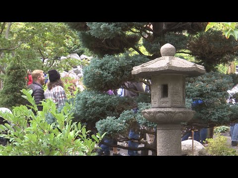 Ashland's Japanese Garden is officially open