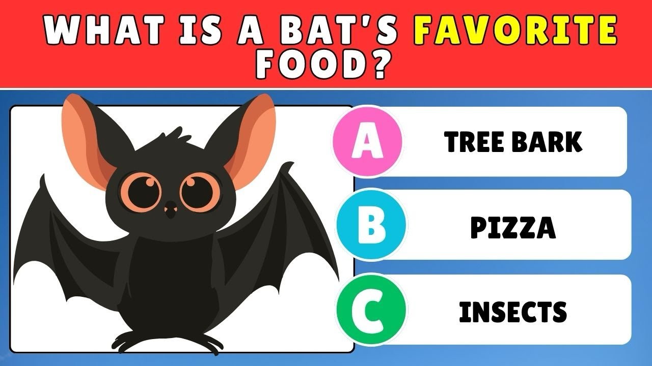 Bat Quiz for Kids | Halloween Fun Animal Facts and Trivia| 10  Questions