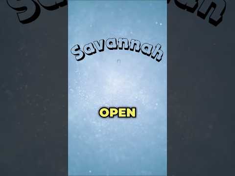 Savannah name meaning.