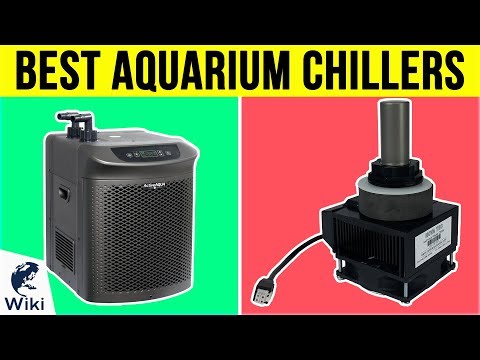 9 Best Aquarium Chillers 2019