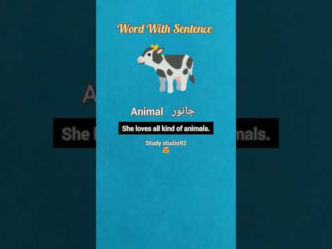 Animal word urdu meaning with sentence🐄 #studystudio92😍 #shortsfeed #animal #englishgrammar