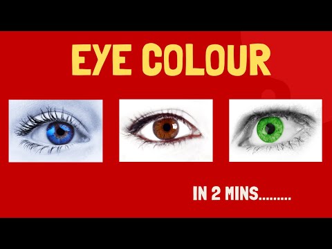 Why Are There Different Eye Colours? | in 2 mins!