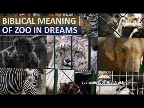 Biblical Meaning of ZOO in Dream - Zoo Dream Meaning