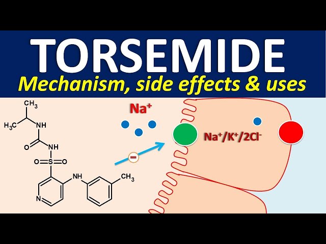 Sustarix 250 mg & Zocon T Kit 100% Export Oriented Unit from Nagpur