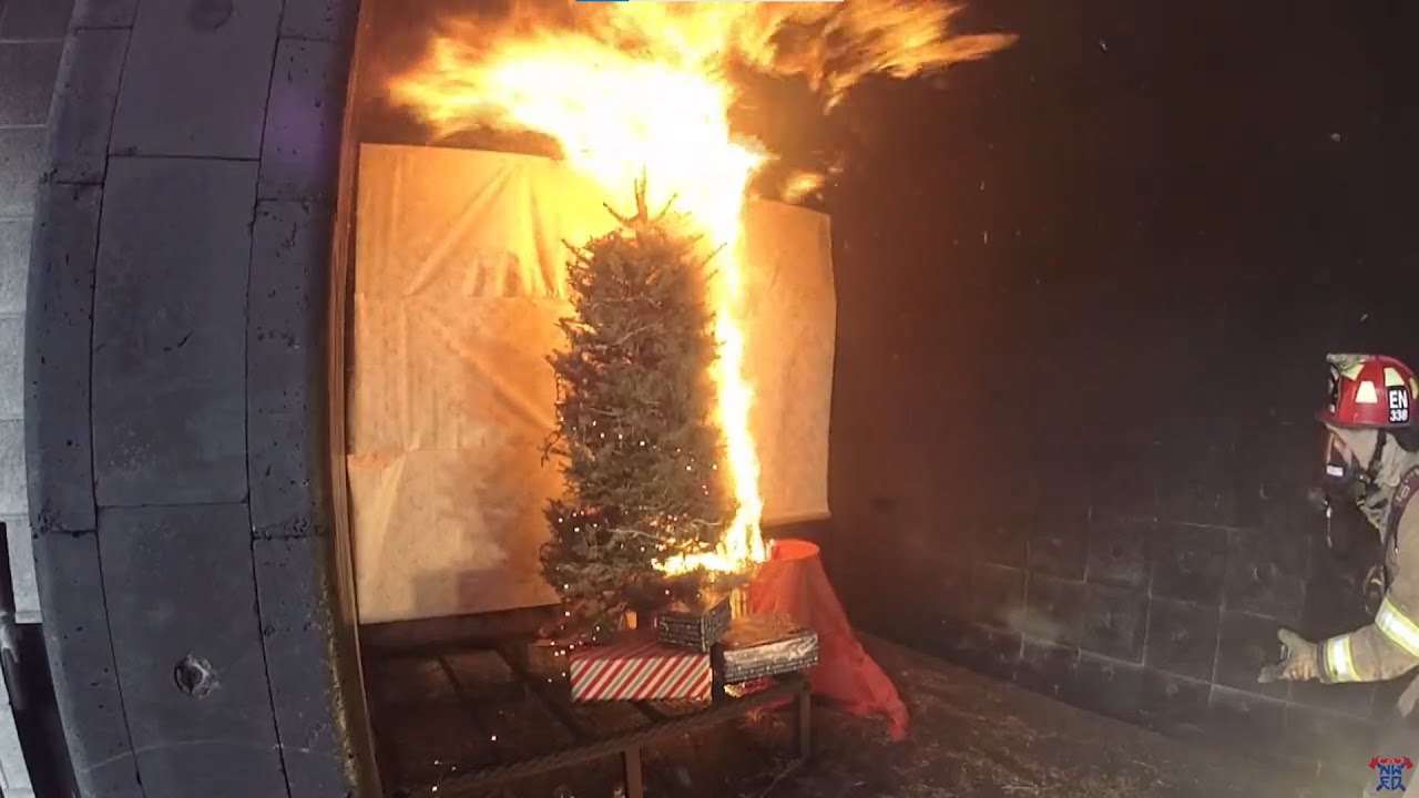 Watch now: How to avoid the fiery dangers of live Christmas trees