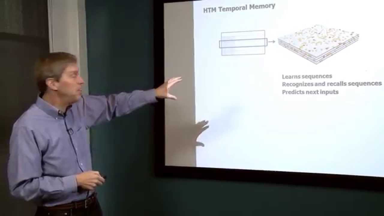 What the Brain says about Machine Intelligence