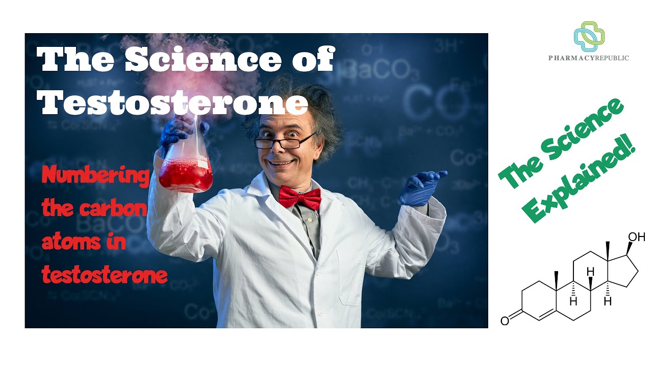 Testosterone Science Explained. Numbering the carbon atoms in the  testosterone molecule