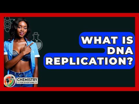 What Is DNA Replication? - Chemistry For Everyone