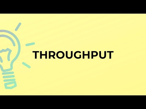 What is the meaning of the word THROUGHPUT?