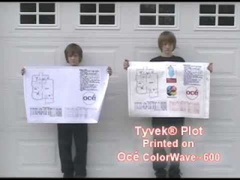 Tyvek Color Plot vs B&W Paper Plot