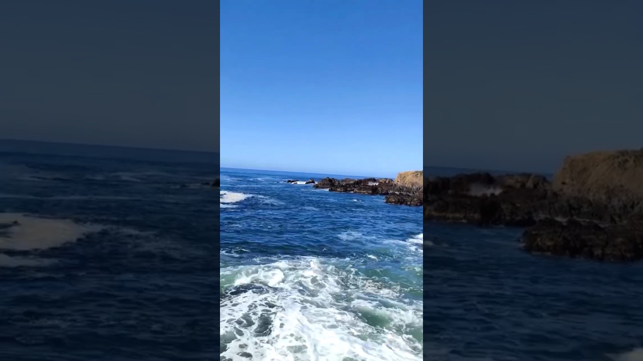 #naturelovers #naturephotography #naturesounds #naturebeauty #natureshorts #naturelove #naturelife