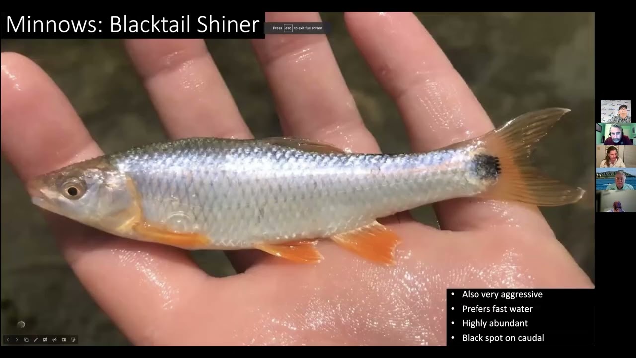 Angler Education | Introduction to Microfishing