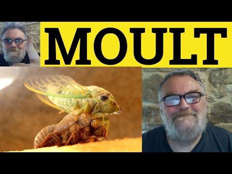 🔵 Molt Meaning - Exuviate Examples - Moult Definition - Exuviate Moult Molt