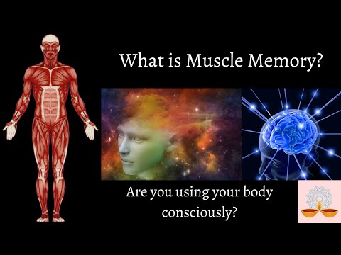 What is Muscle memory? Our Miraculous Body Part 3