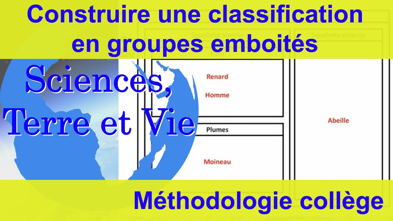 Classifications et groupes : comprendre leurs enjeux