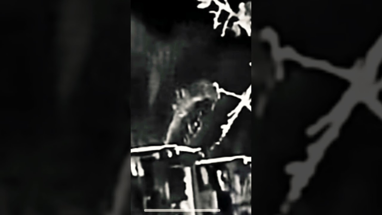 las vegas ufo 10ft tall alien creature everyone missed