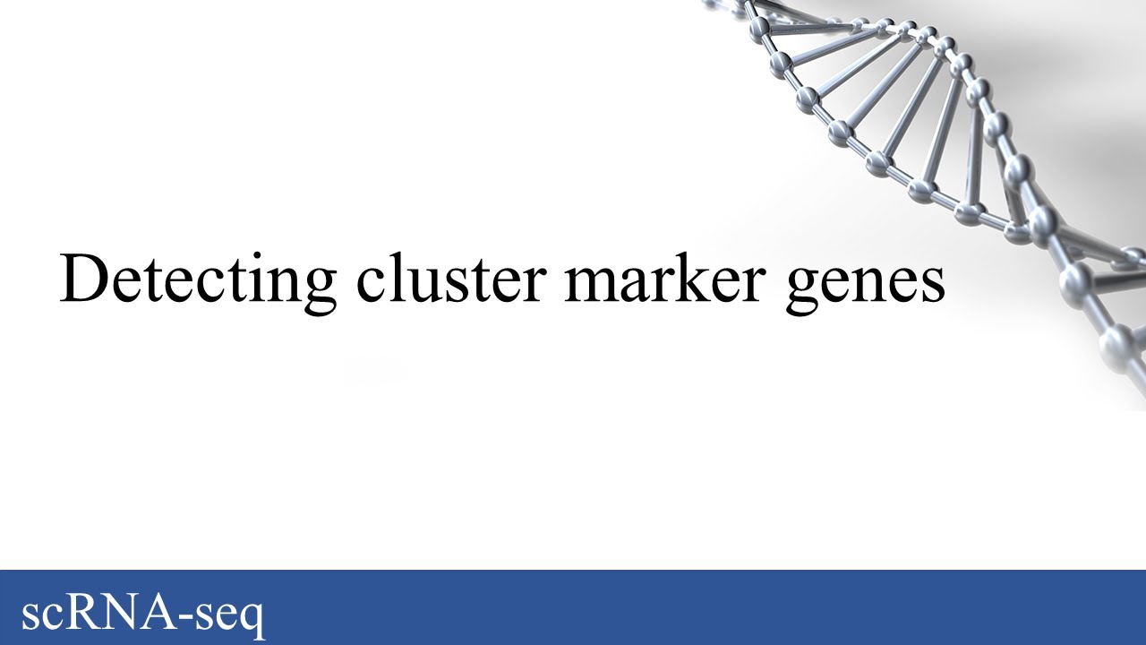 scRNA-seq: Detecting cluster marker genes