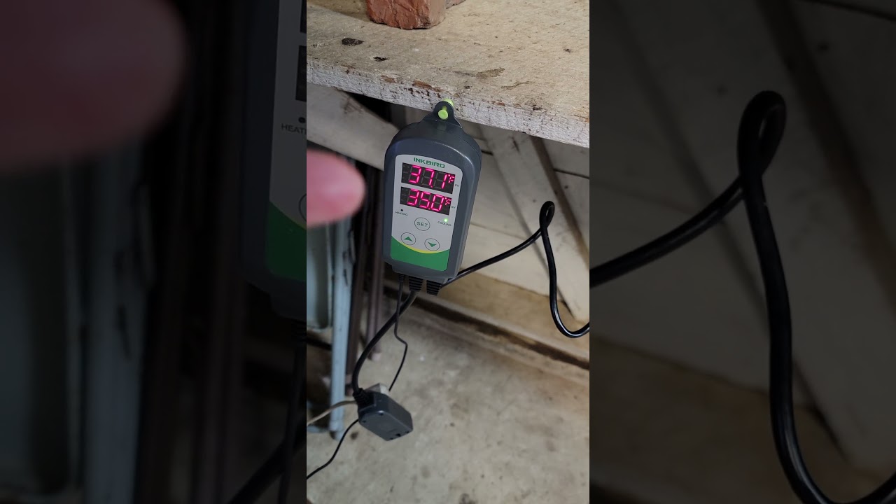 Inkbird Thermostat Controller | Freezer to Fridge #inkbird #coolbot #deepfreeze